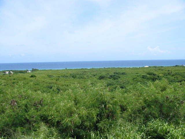 16c Rust-op-twist Nb, St. Croix, , MLS# 05-984 | Sea Glass Properties