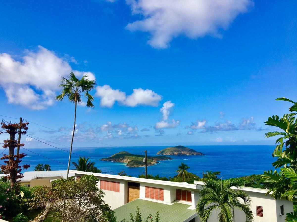 14-5 Bonne Resolution Lns, St. Thomas, 00802, MLS# 19-1831 | Sea Glass ...