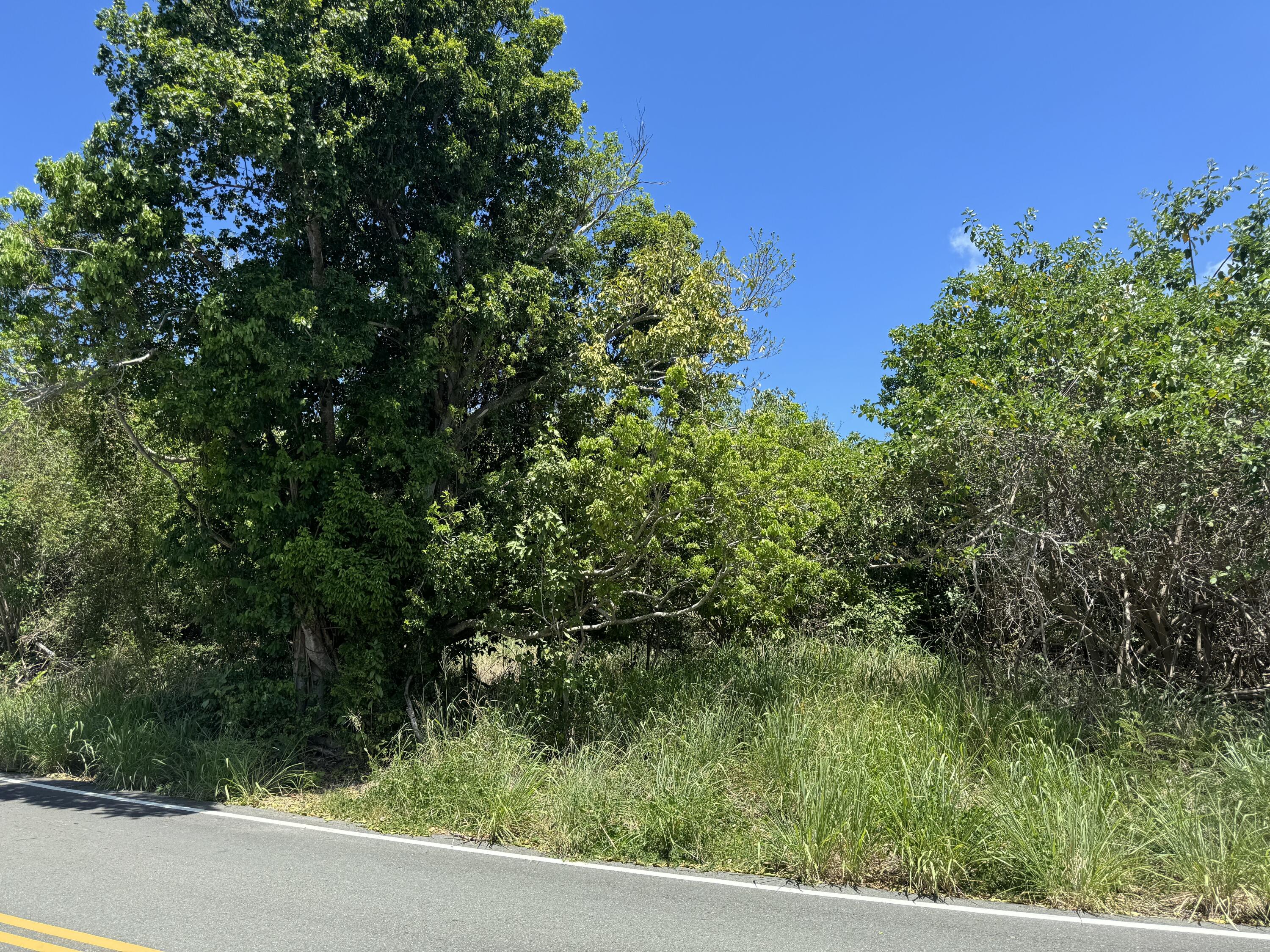 134 Bugby Hole Co, St. Croix, 00820, MLS# 24-574 | Sea Glass Properties