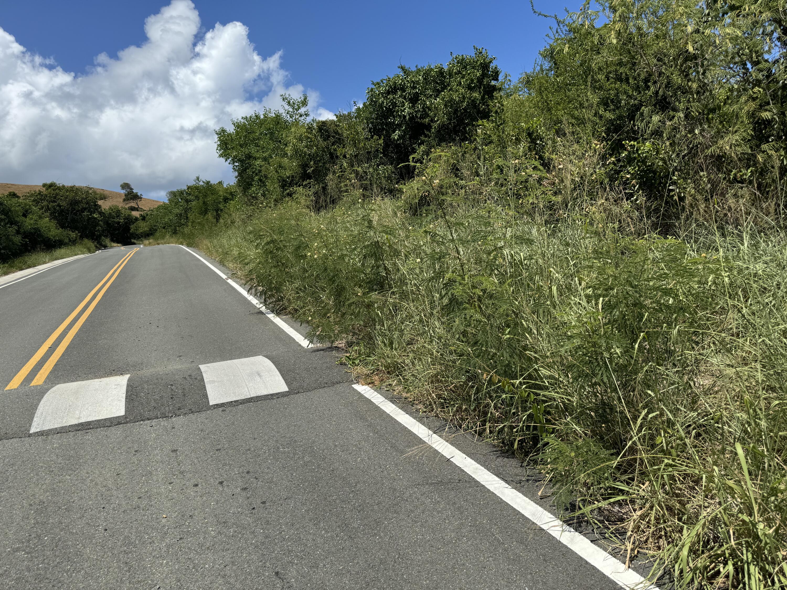 133 Bugby Hole Co, St. Croix, 00820, MLS# 24-573 | Sea Glass Properties