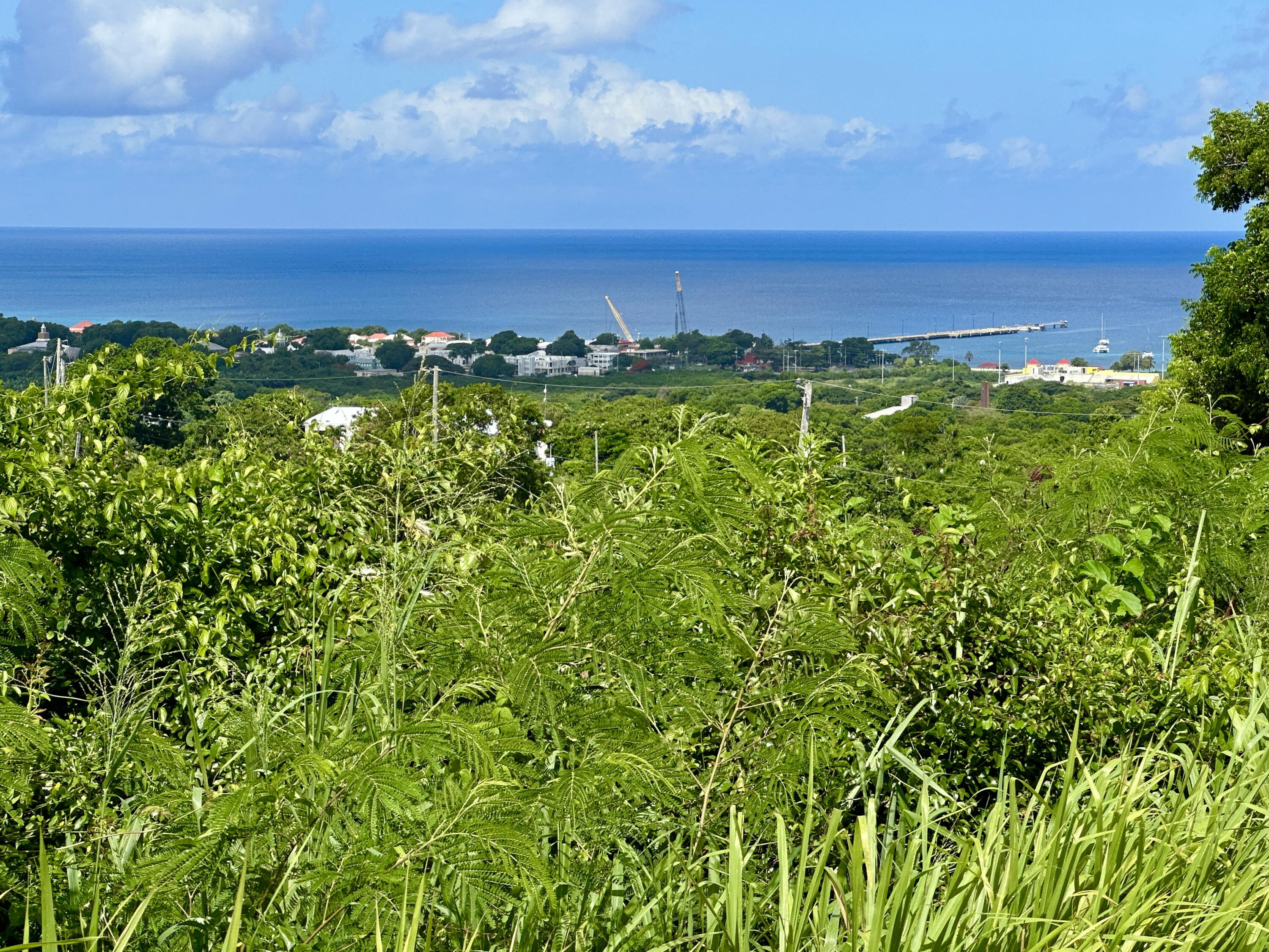 Rem 93 La Grange We, St. Croix, 00840, MLS# 24-1055 | Sea Glass Properties